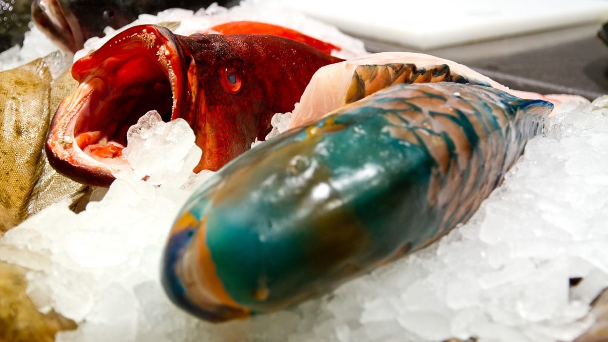 Comment devenir un bon poissonnier - Beynat